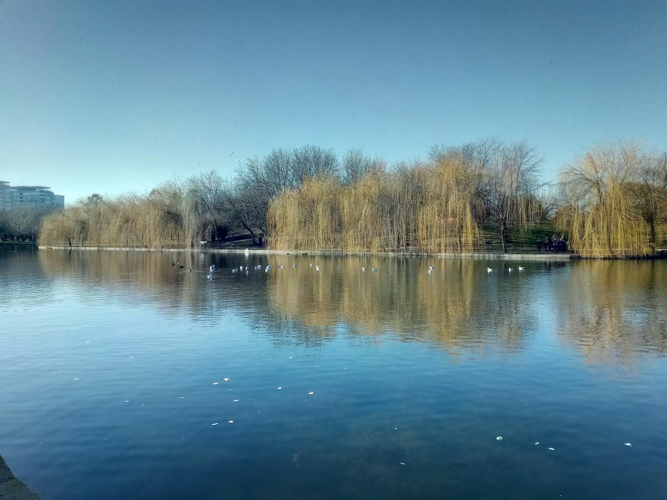 UHANS Max 2: Cameră surprinzătoare la fotografii ziua, filmare cu ...